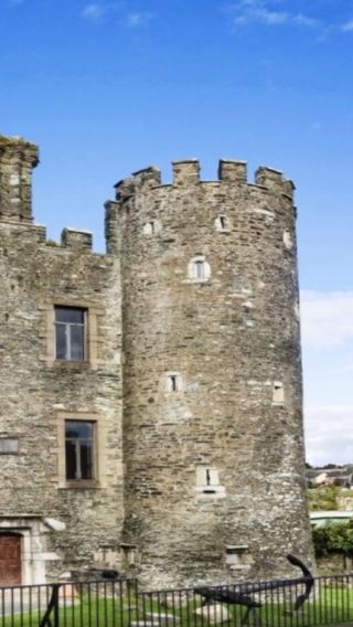 Enniscorthy Castle | Things to Do Wexford | Treacys Hotel Enniscorthy